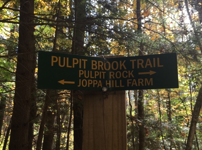 Pulpit Brook Trail | Granite State Walker