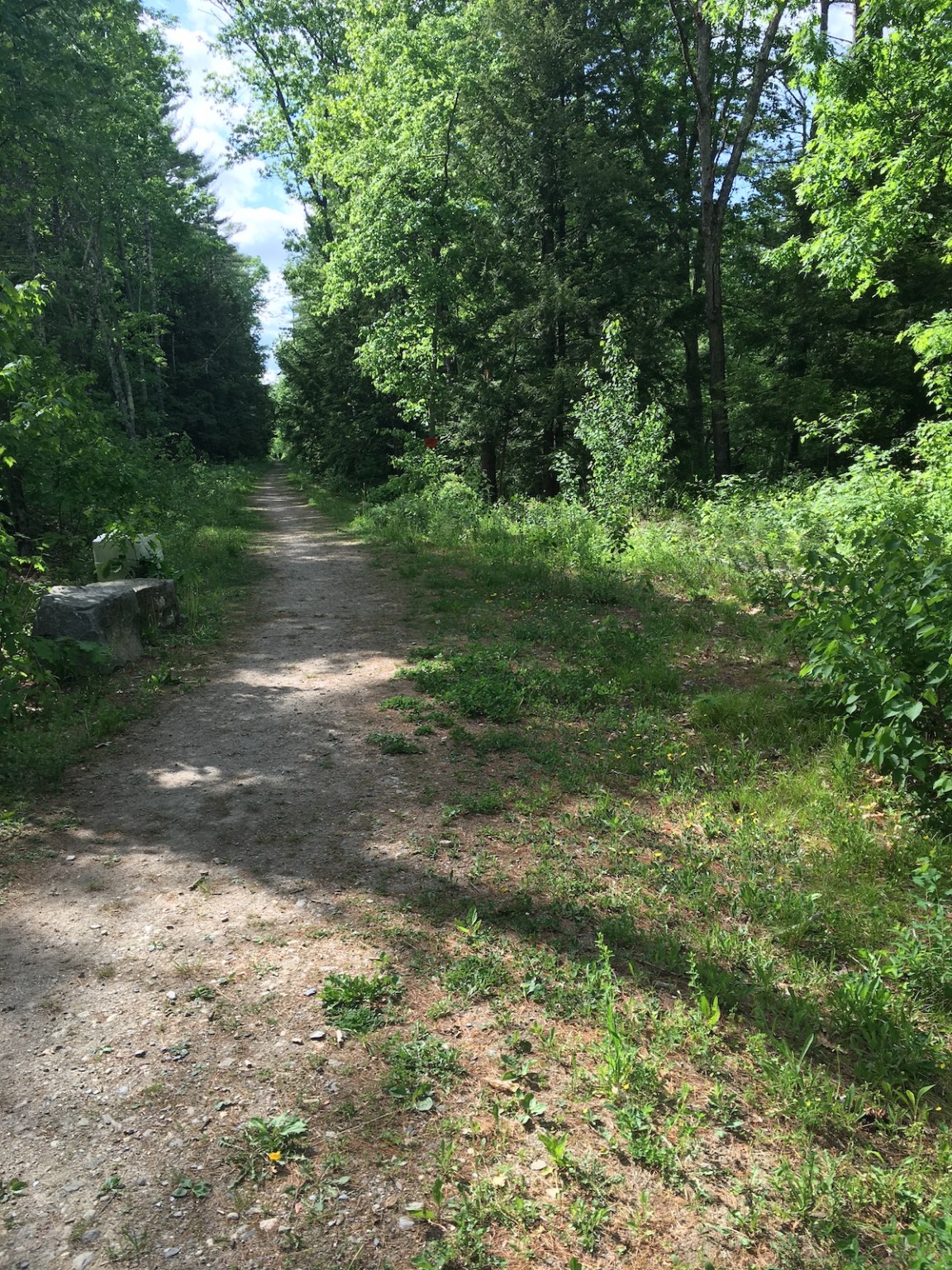 Beginning the NH Rail Trail Challenge: low-key, close to home | Granite ...